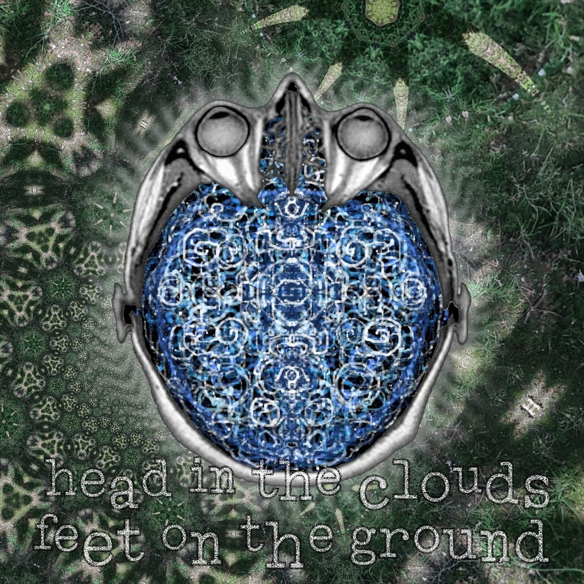 head in the clouds feet on the ground