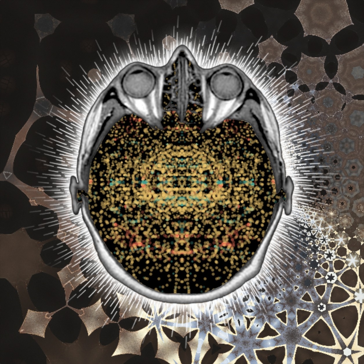 Take your power back